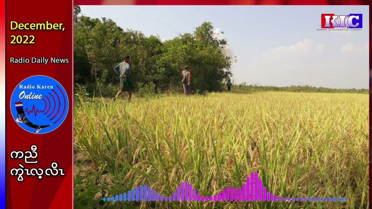 Due to heavy rains, paddy fields were destroyed in Pai Kyoung Township ...