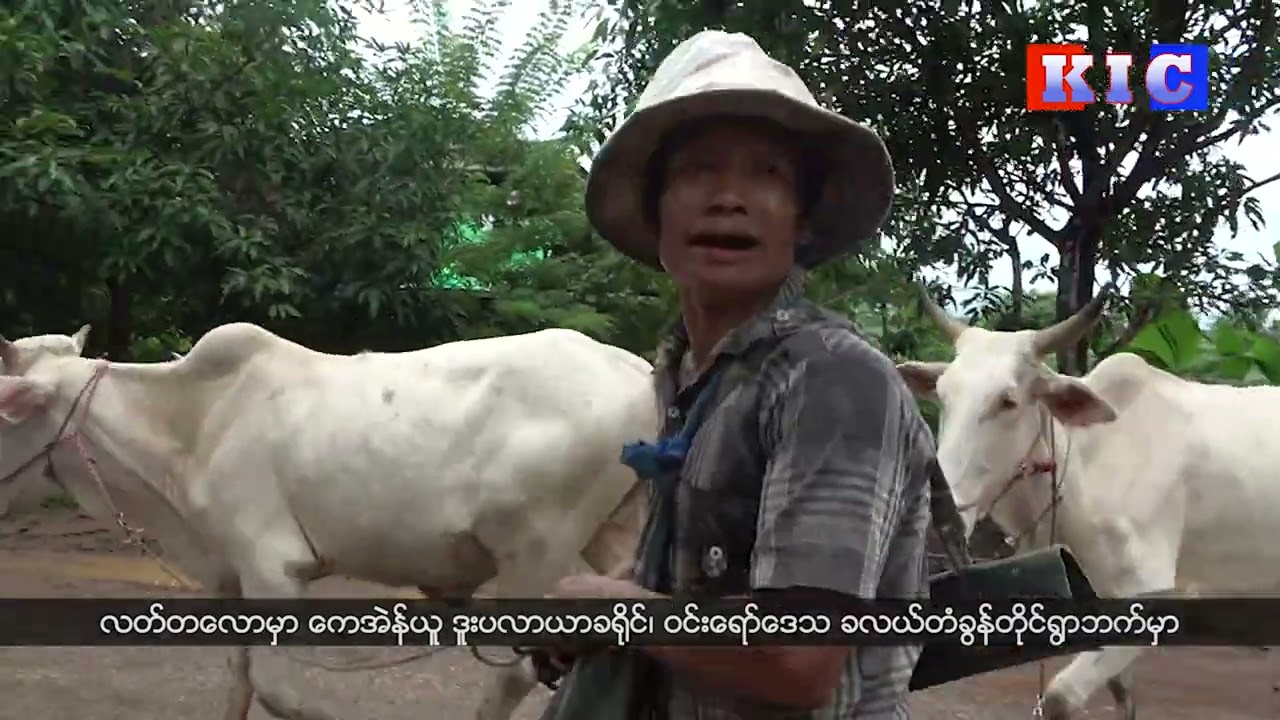 Political Analysis: Junta Leader and Former KNU President Meeting No ...